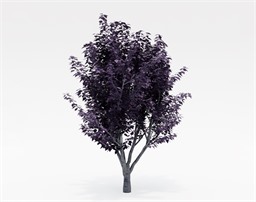 Enscape树景观植物SketchUp模型库草图大师SU模型VOL.081 _ 草图联盟网