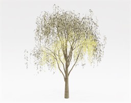 Enscape树景观植物SketchUp模型库草图大师SU模型VOL.081 _ 草图联盟网