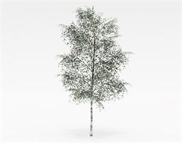 Enscape树景观植物SketchUp模型库草图大师SU模型VOL.081 _ 草图联盟网