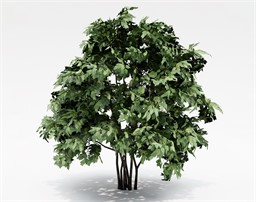 Enscape树景观植物SketchUp模型库草图大师SU模型VOL.082 _ 草图联盟网